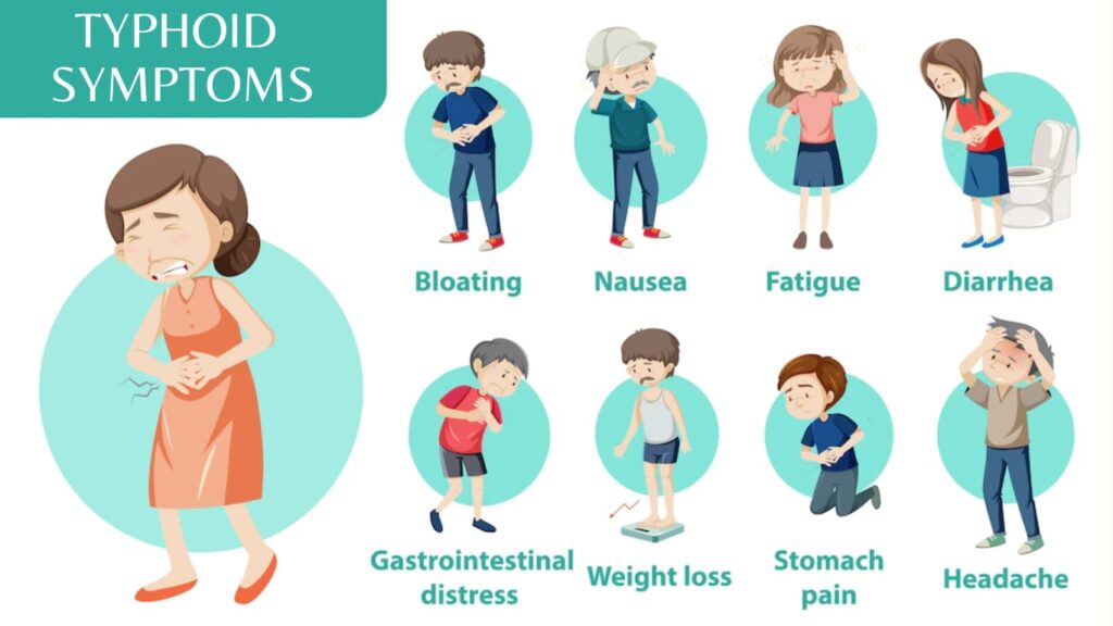 Typhoid Symptoms Treatment Causes Dr Chhabra Typhoid Symptoms Treatment Causes Dr Chhabra